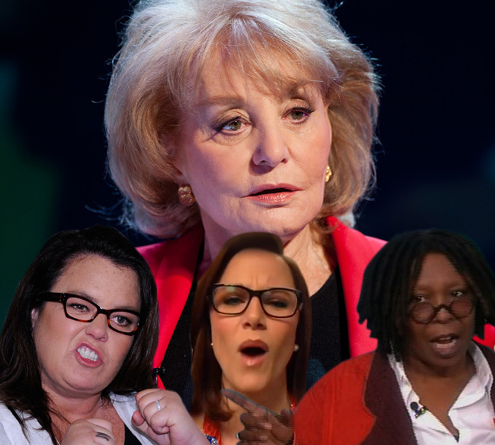The View -- Whoopi Goldberg Takes Shot at Barbara Walters During Heated ...