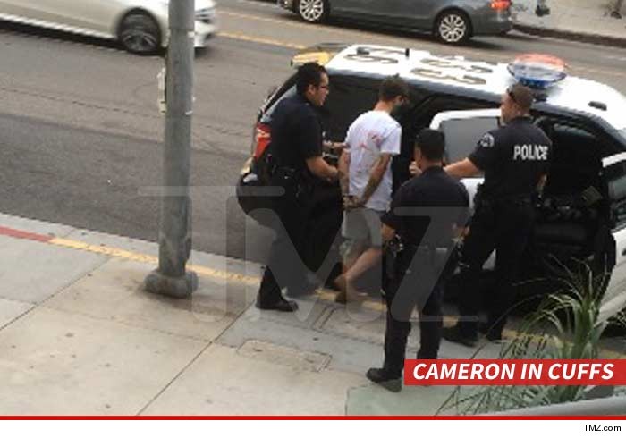 'Vine' Star Cameron Dallas -- Arrested After Telling Landlord, 'Screw ...