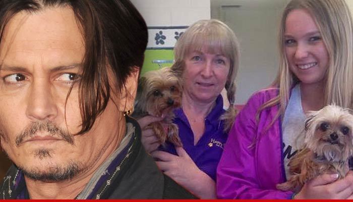 Johnny Depp -- Dog Smuggling Carries 10 Year Prison Sentence | TMZ.com