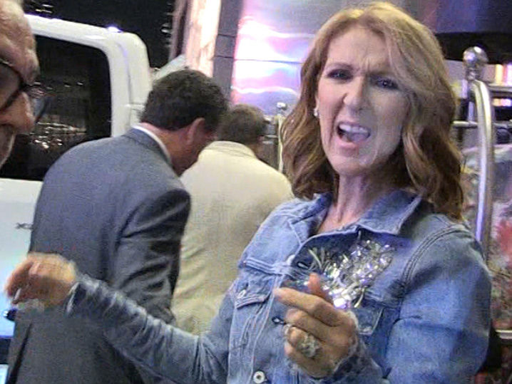 Check Out Celine Dion's Super Bowl Swagger! See Ya in Houston? | TMZ.com