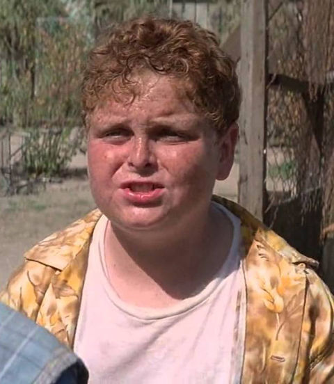 "The Sandlot" Cast: 'Memba Them!? | Photo 5 | TMZ.com