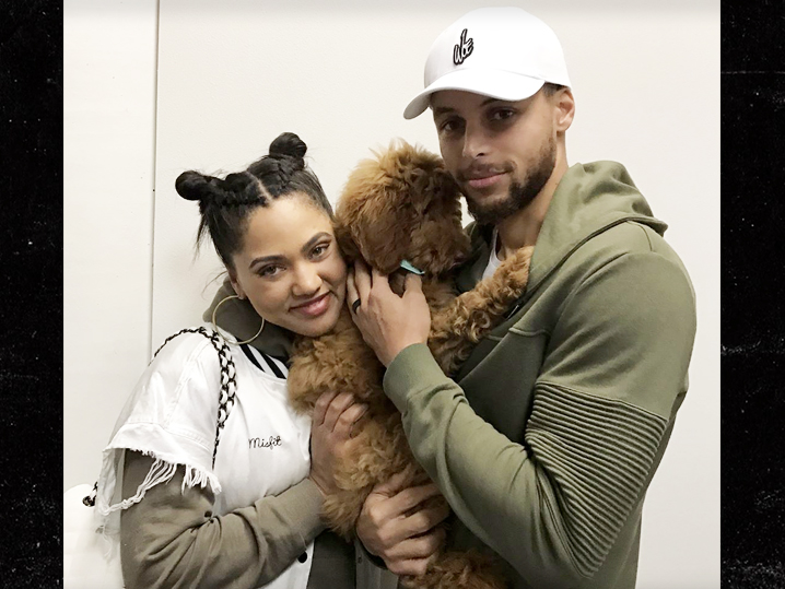 Steph Curry Drops $3,800 On Adorable New Puppy | TMZ.com