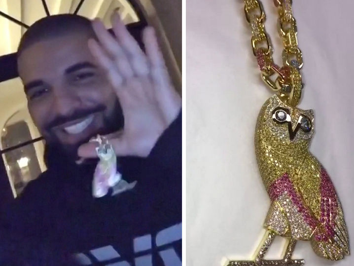Drake Buys New $120k OVO Chain | TMZ.com