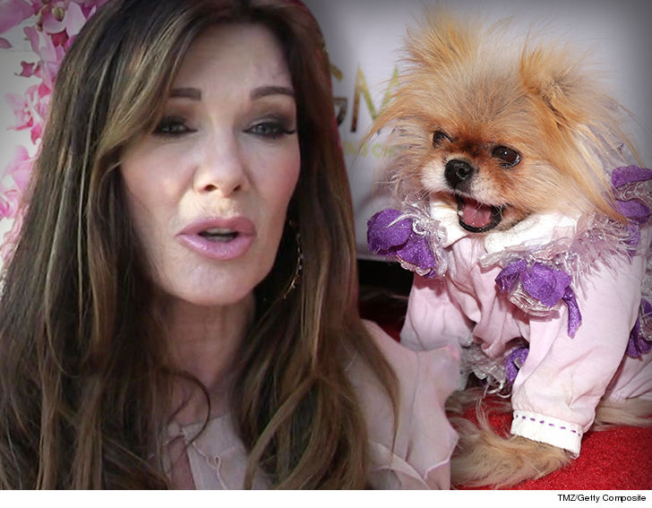 Lisa Vanderpump Sued Over Dog Outfits for Giggy | TMZ.com