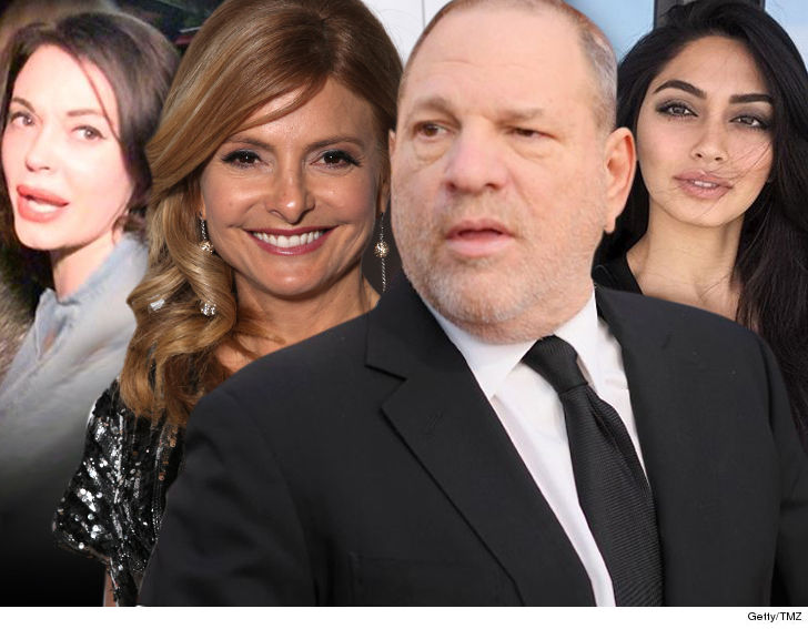 Harvey Weinstein's Former Attorney Lisa Bloom Investigated Alleged ...