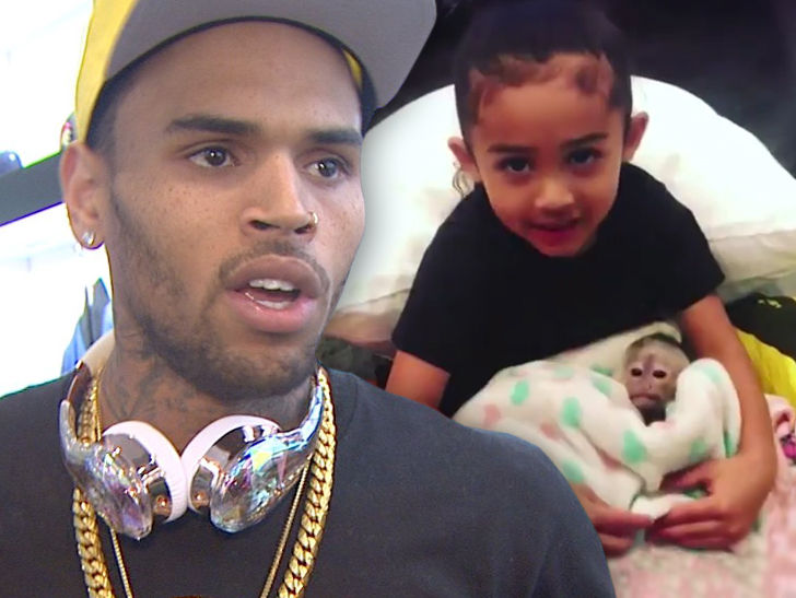 Chris Brown's Daughter Didn't Get the Monkey, It's His Pet | TMZ.com