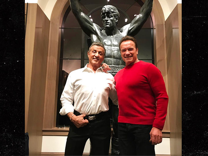 Sylvester Stallone Drops 6 Figures On Iconic 'Rocky' Statue! | TMZ.com