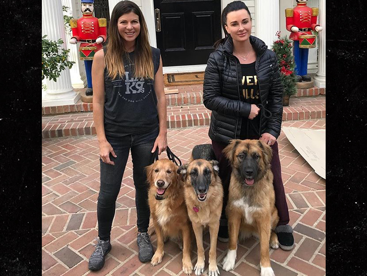 Kyle Richards' Home Protected by 3 Freshly Trained Dogs | TMZ.com
