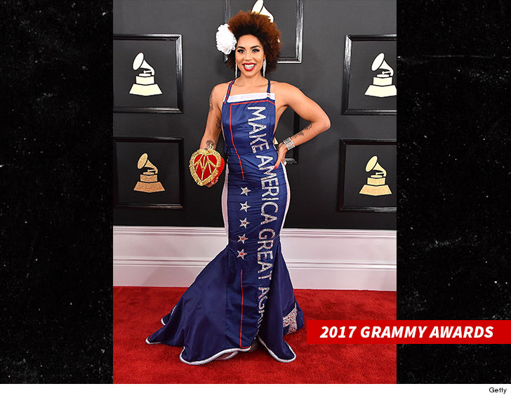 Singer Joy Villa Dresses as Barbed Wire Trump Wall at Grammys | TMZ.com