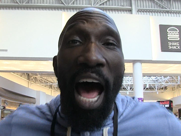 Ex-Eagles LB Ike Reese: NO MORE HORSE PUNCHING!!! | TMZ.com