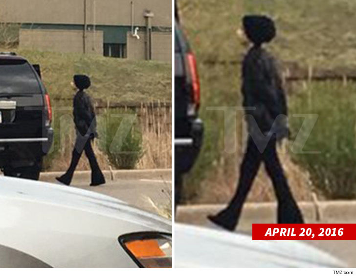 No Criminal Charges in Prince's Death, Source of Fentanyl Not Found ...