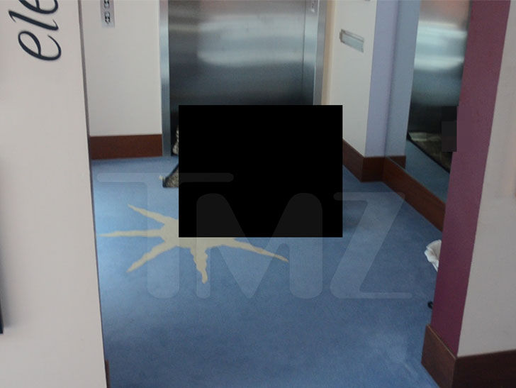 Prince Death Scene Video and Photos Released by Cops | TMZ.com