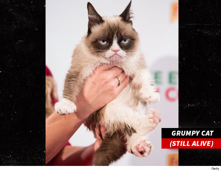 Loki The Sphynx aka 'The Grumpiest Cat' Dies Unexpectedly | TMZ.com