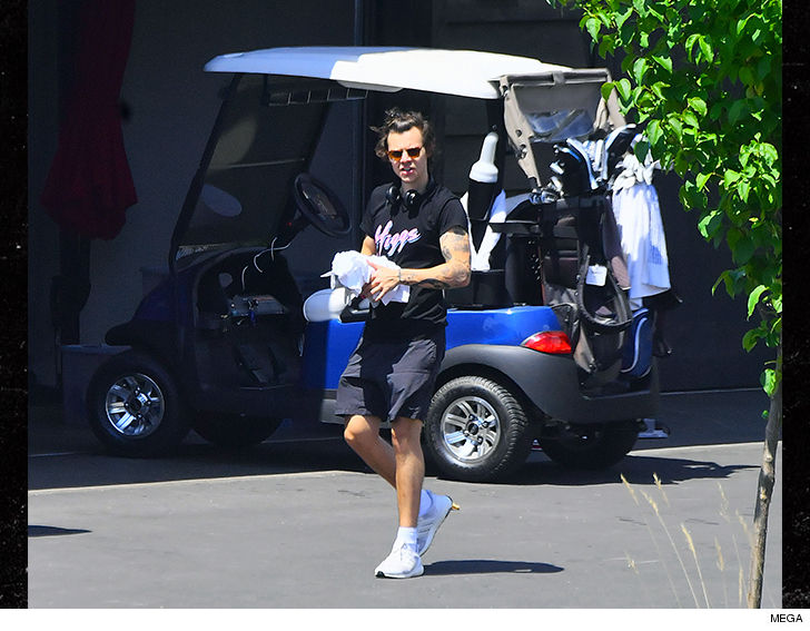 Harry Styles Takes Golf Vacation in Idaho | TMZ.com