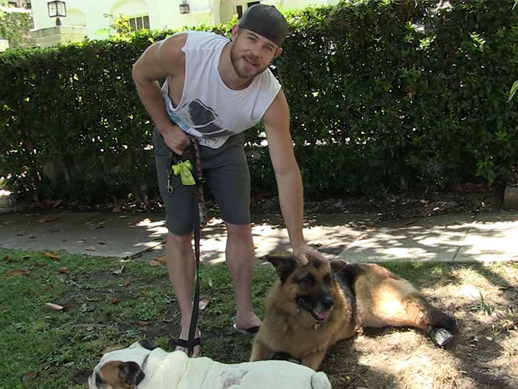 '90210' Star Trevor Donovan Rips 'Greedy Breeders' for Ailing German ...