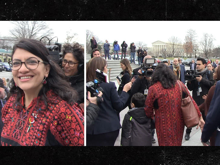 Rashida Tlaib, First Palestinian-American Congresswoman, Swarmed on ...