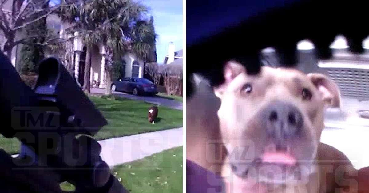Dak Prescott Dog Attack Video, Cops Drew Assault Rifle On Pets | TMZ.com