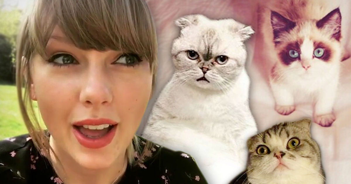 Taylor Swift Trademarks Her New Cat Benjamin Button | TMZ.com
